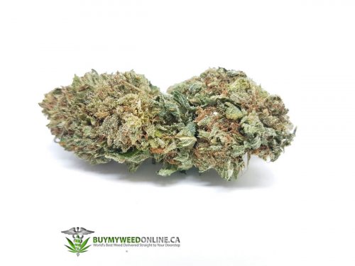 Kali Mist | Premium Cannabis Strain