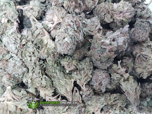 Kali Mist | Premium Cannabis Strain