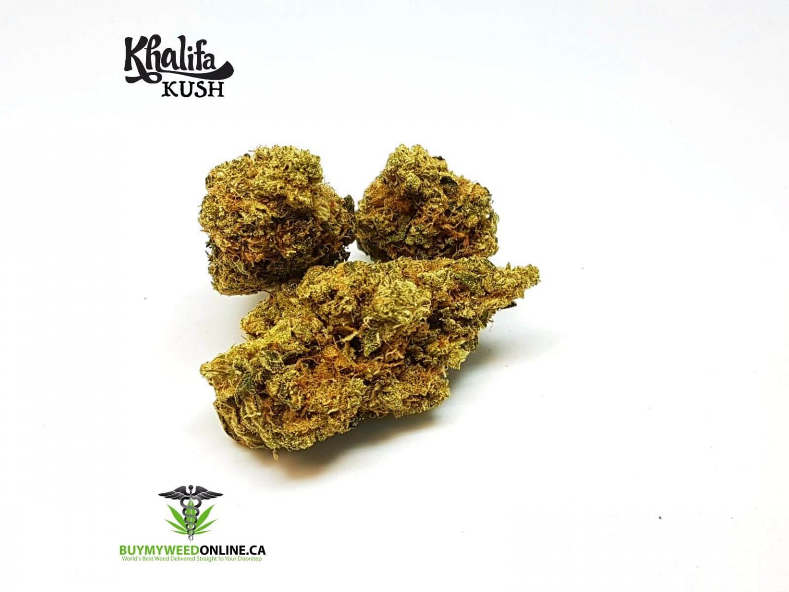 Khalifa Kush Strain | Indica Dominant Hybrid