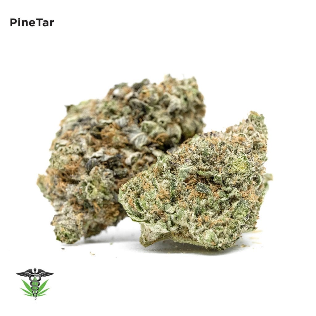 Pine Tar Kush | Pure Indica Strain