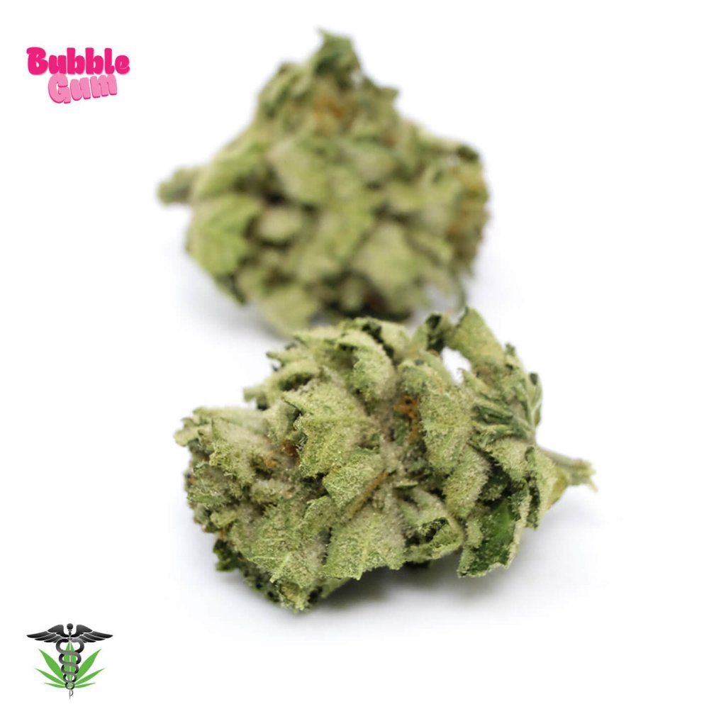 Bubble Gum Strain | Potent Indica Marijuana Strain