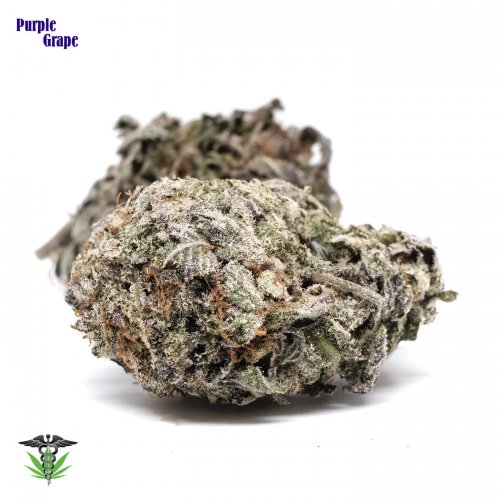 Purple Grape Strain | Delicious Indica Hybrid