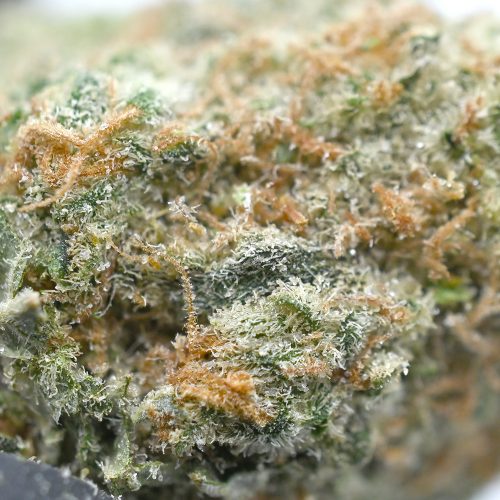 Platinum OG Strain | Grade AAA Marijuana Strain from Popeyes
