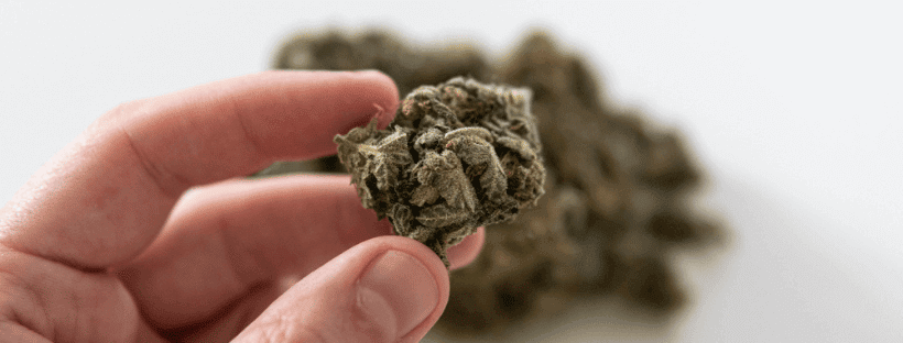 Can You Get High From Smelling Weed?