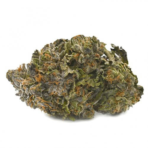 Tom Fort Pink Ounce Strain | Premium Indica Dominant Strain