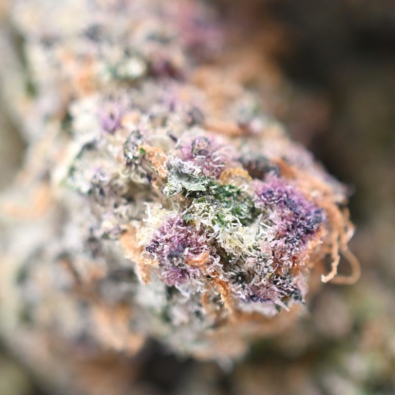 Purple Candy Strain | Balanced Weed Strain by Popeyes Ganja Bags