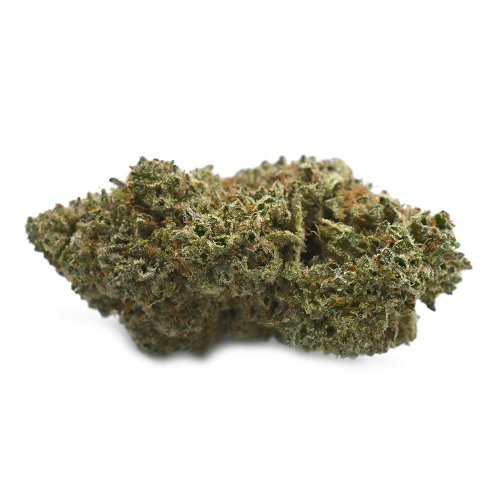 Dolato Strain | Mysterious Indica Cannabis Strain