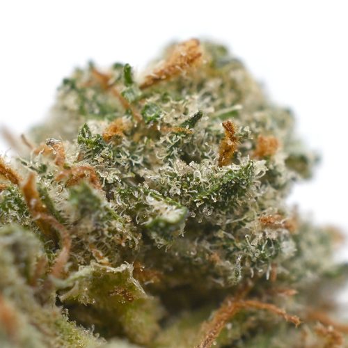 Sour Diesel Strain | Premium Sativa Strain