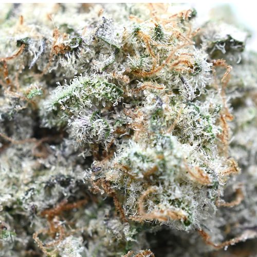 Mac 1 Strain | Balanced Hybrid by Popeyes Ganja Bags