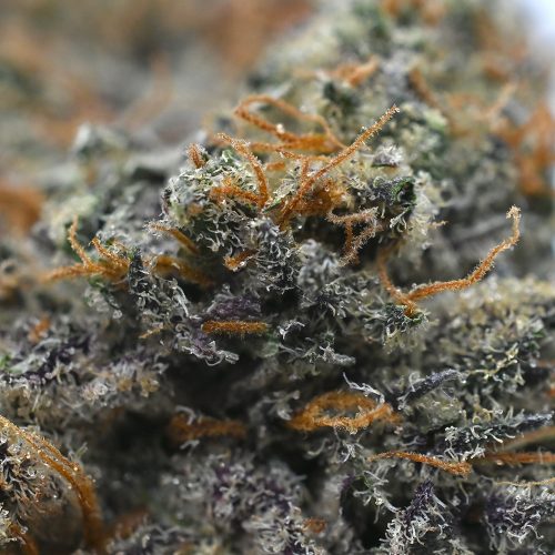 Frosted Flakes | Indica Dominant Hybrid by Thunder Buddies