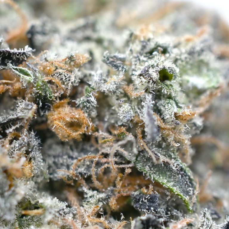 Rainbow Gushers Strain | Indica Dominant Hybrid by Popeyes Ganja Bags