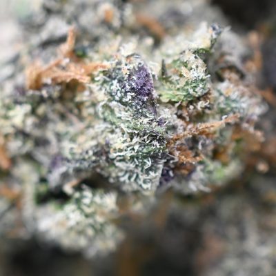 Martian Candy Strain - July Special Offer - Buy My Weed Online