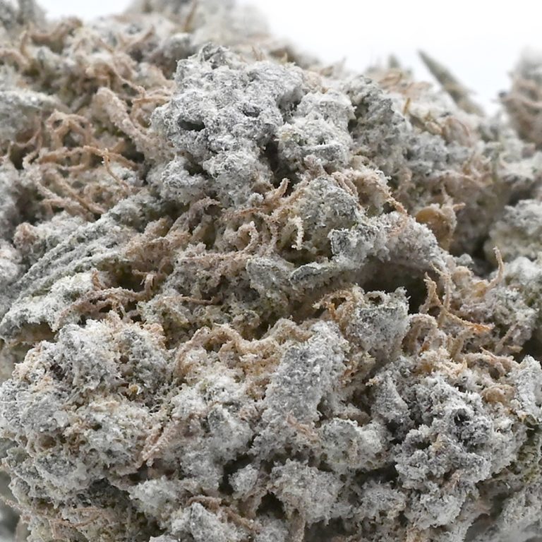 Popeyes Infused Spinach Rolls - Pure Michigan Strain - May Special ...