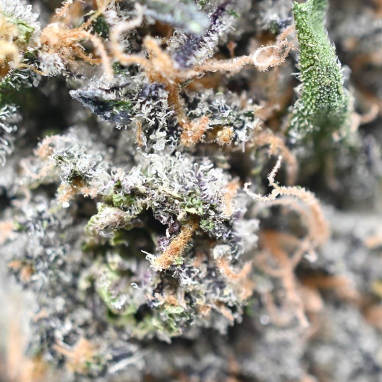 Red Velvet Strain - May Special Offer - Buy My Weed Online