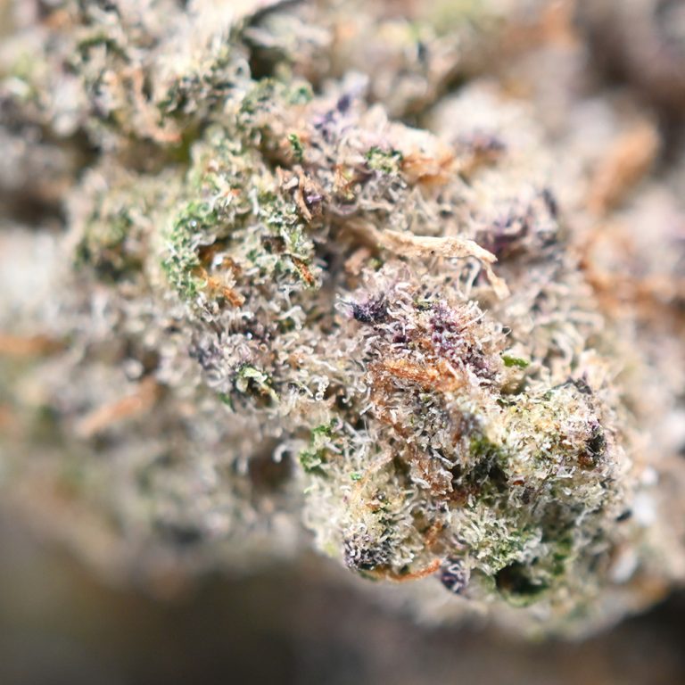 Purple Mac - Popeyes Ganja Bags Strain - April Special Offer - Buy My ...